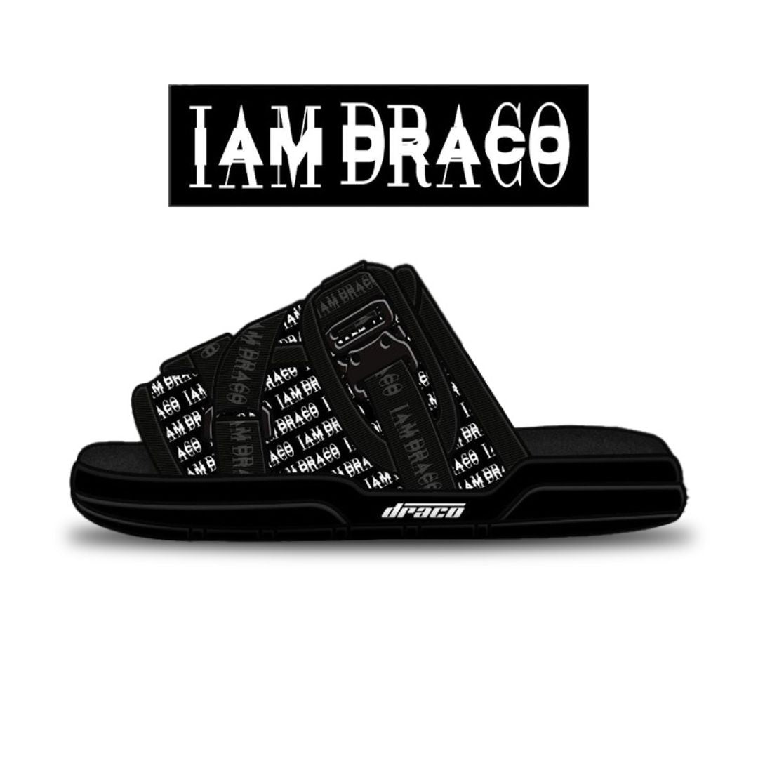 'I AM DRACO' SLIDES