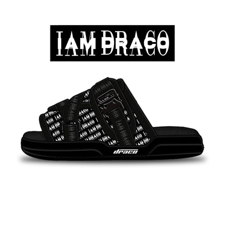 'I AM DRACO' SLIDES